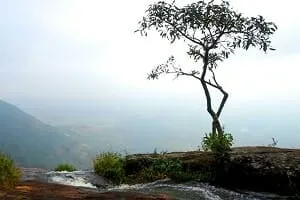 Sightseeing places of Thekkady - Kerala Taxis