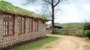 Top 5 Must-Visit Nature Spots in Vagamon
